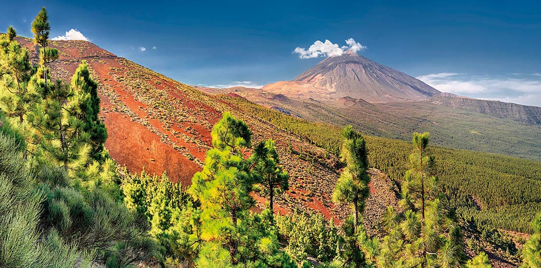 Tenerife Cruises | Canary Island Cruises for Over 50s | Saga Cruises