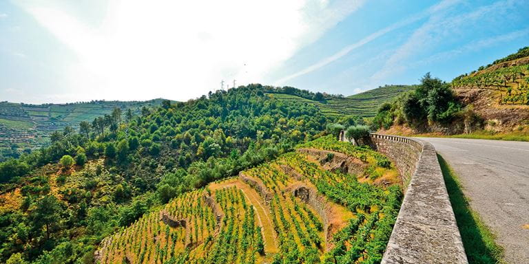 Douro River Cruises for over 50s | Saga Cruises